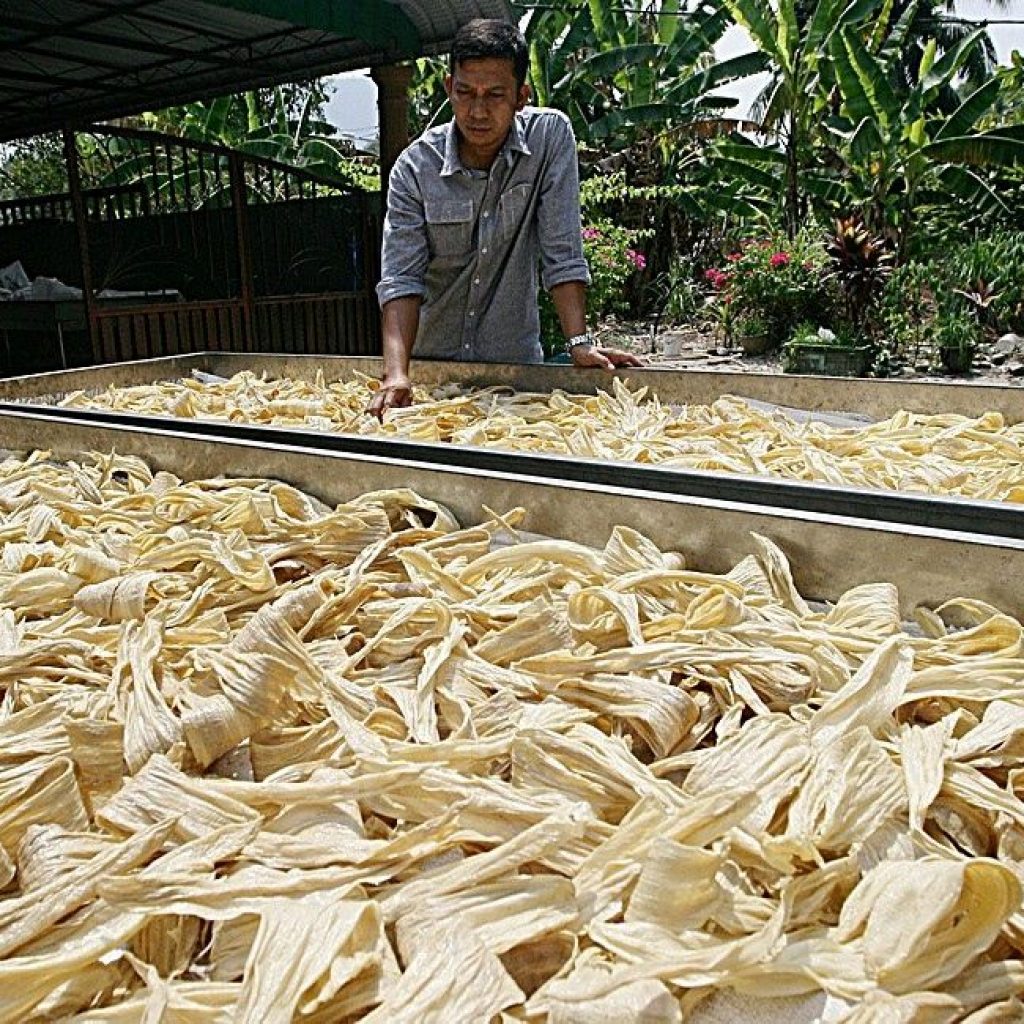 Fucuk dan Cara Memasaknya - Azhan.co